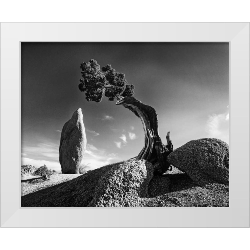 Flaherty, Dennis 18x15 White Modern Wood Framed Museum Art Print Titled ...