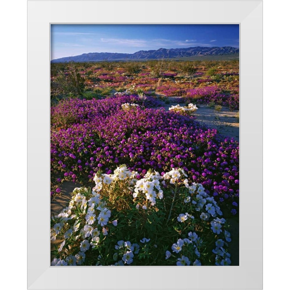 Flaherty, Dennis 20x24 White Modern Wood Framed Museum Art Print Titled ...
