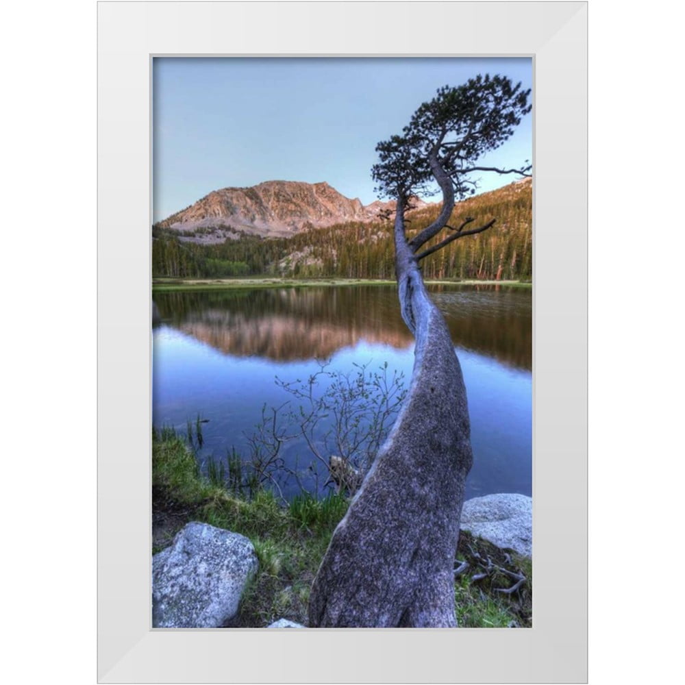 Flaherty, Dennis 23x32 White Modern Wood Framed Museum Art Print Titled - California, Sierra ...