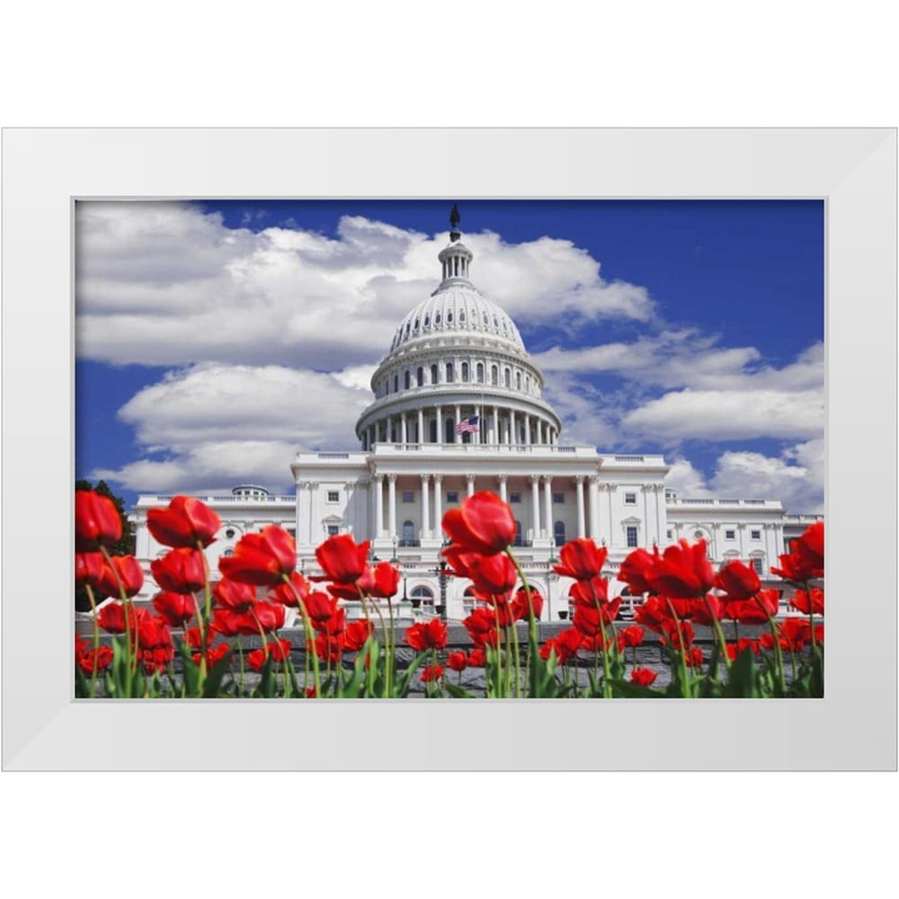 Flaherty, Dennis 24x17 White Modern Wood Framed Museum Art Print Titled ...