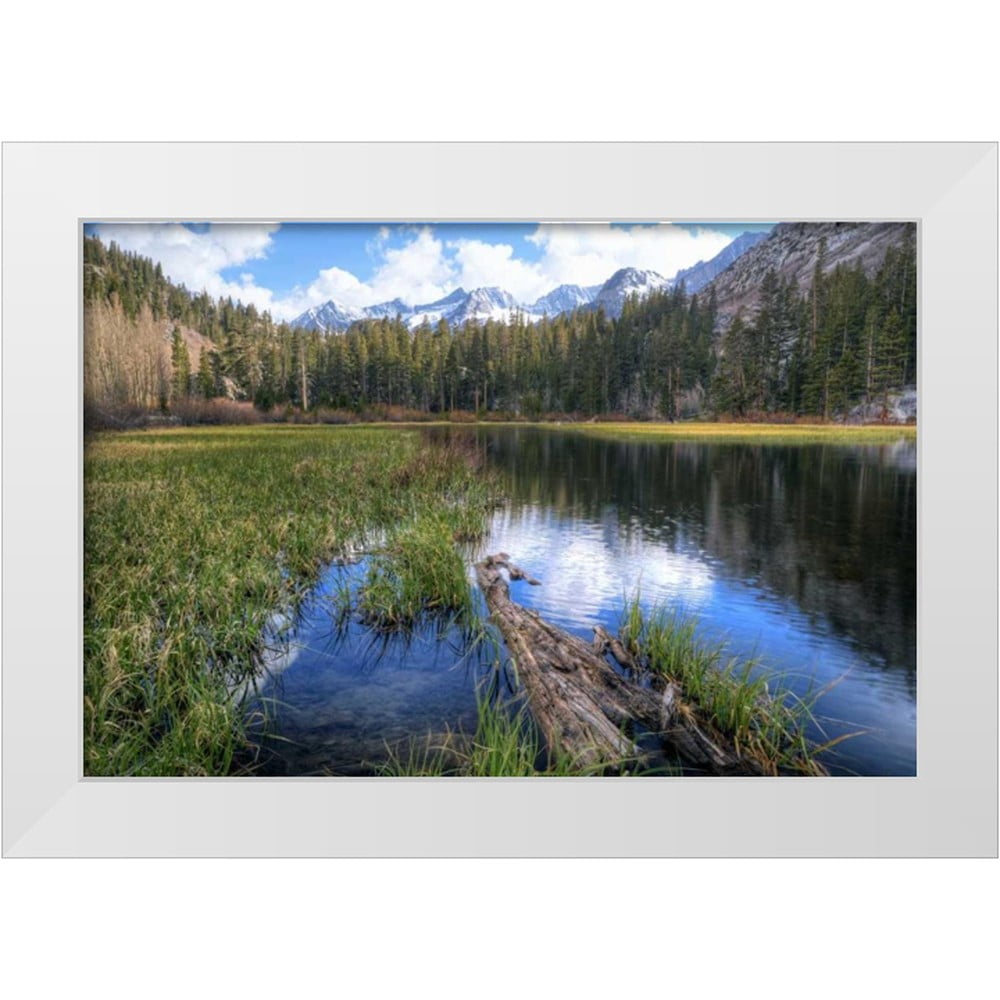 Flaherty, Dennis 32x23 White Modern Wood Framed Museum Art Print Titled ...