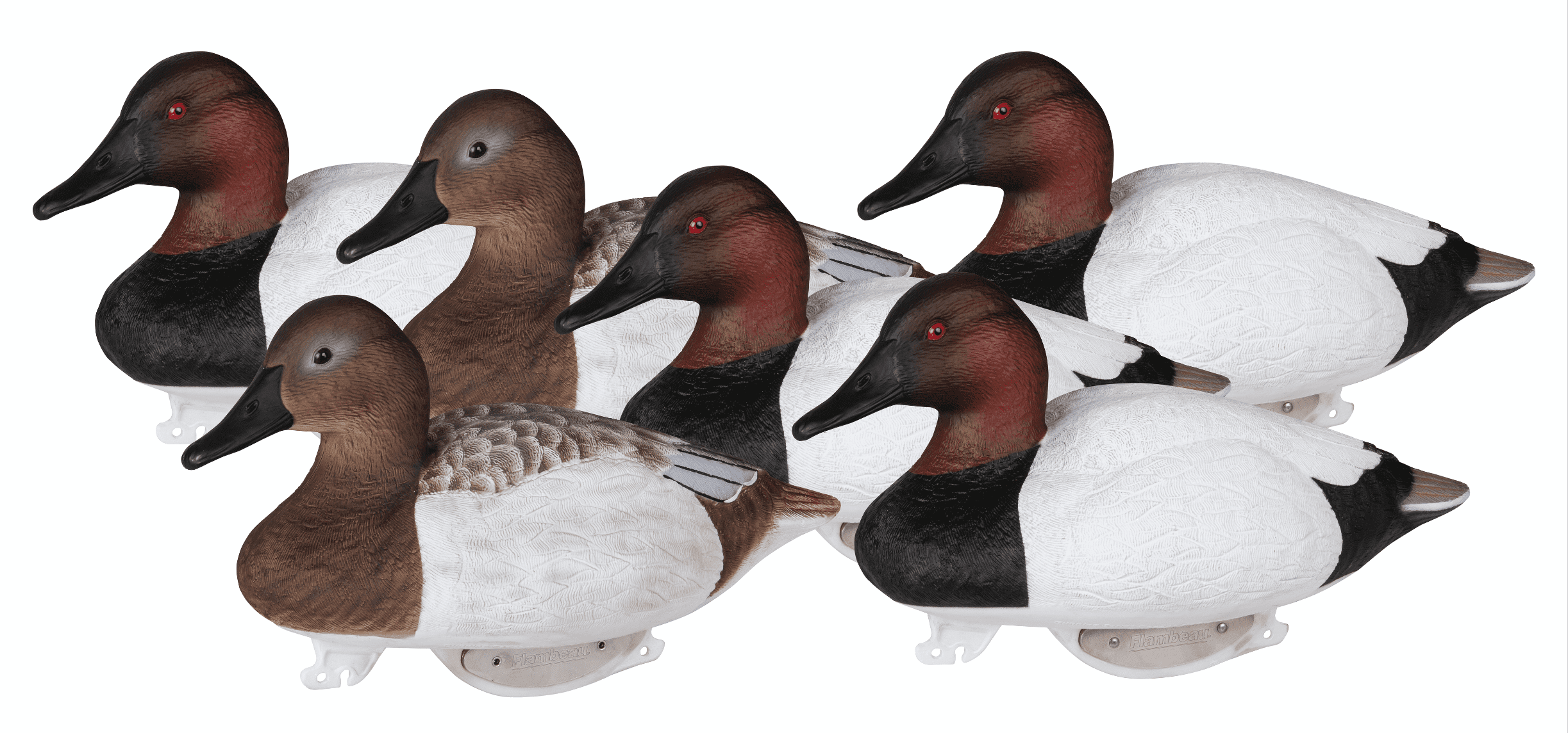 Flambeau Outdoors 1325GSD Gunning Series Foam-Filled Canvasback Decoys ...