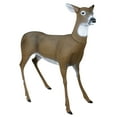 Flambeau Outdoors Boss Babe Deer Decoy, Brown, 14 lbs, Collapsible ...