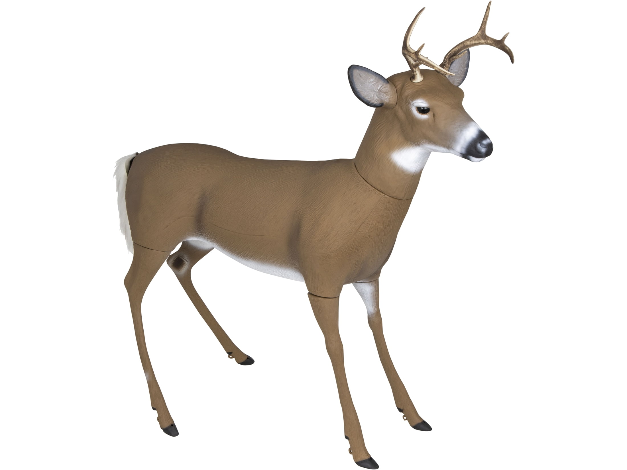 Flambeau Scrapper Buck Decoy: Realistic Adolescent Deer with Adjustable ...
