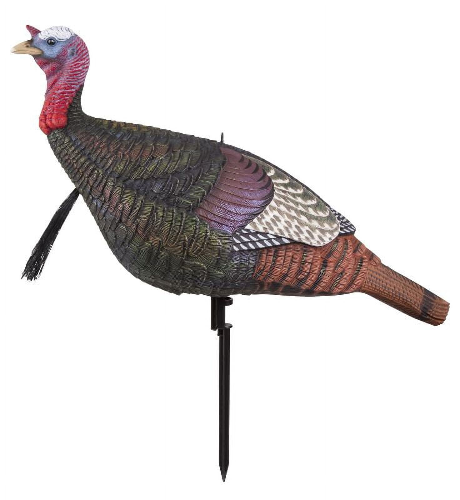 FlambeauOutdoors MAD Shady Baby Walking Tom Turkey Decoy, 1 Piece ...