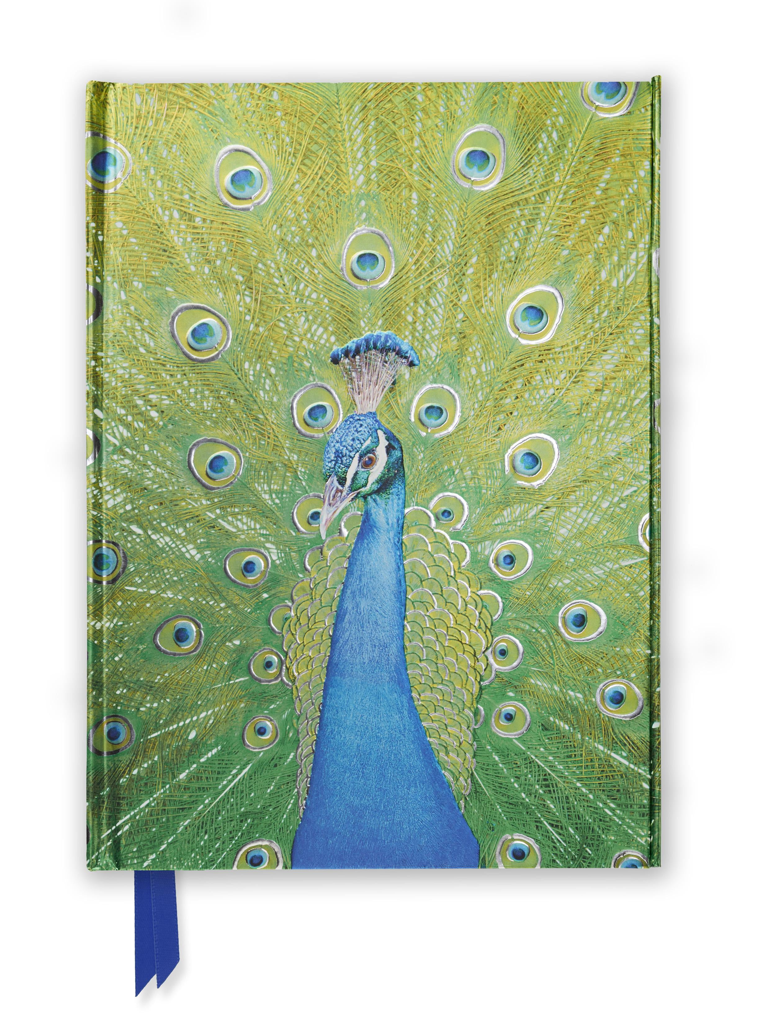 Flame Tree Notebooks: Peacock in Blue & Green (Foiled Journal ...