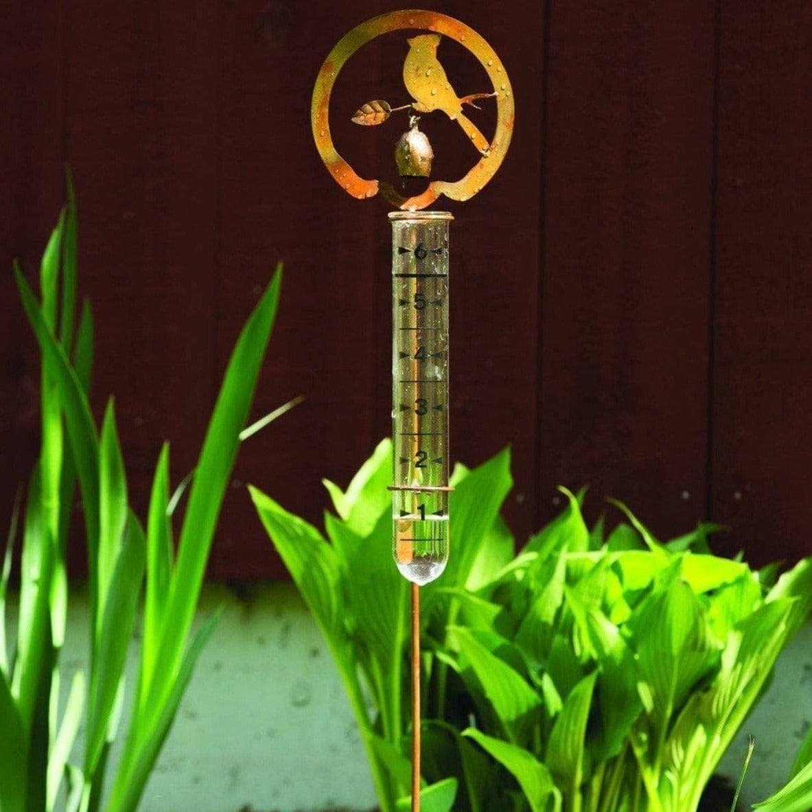 Bird Rain Gauge Stake - Walmart.com