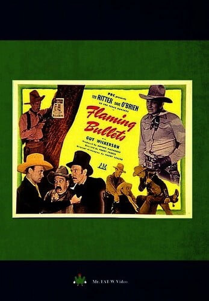 Flaming Bullets (DVD) - Walmart.com