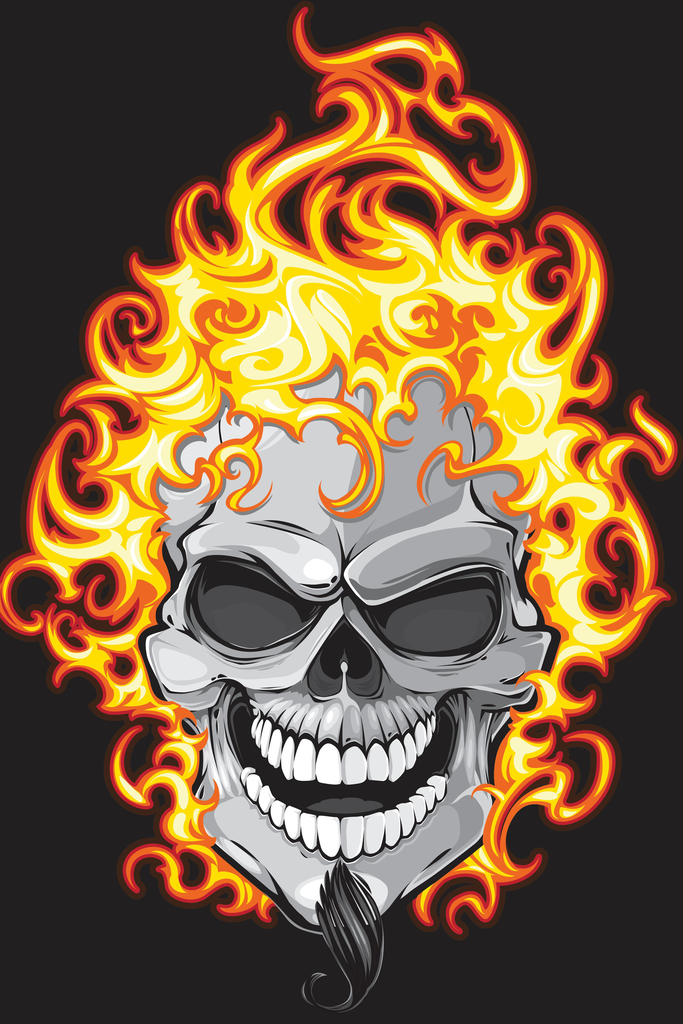 Flaming Skull With Goatee Cool Wall Art Print Poster 12x18 - Walmart.com