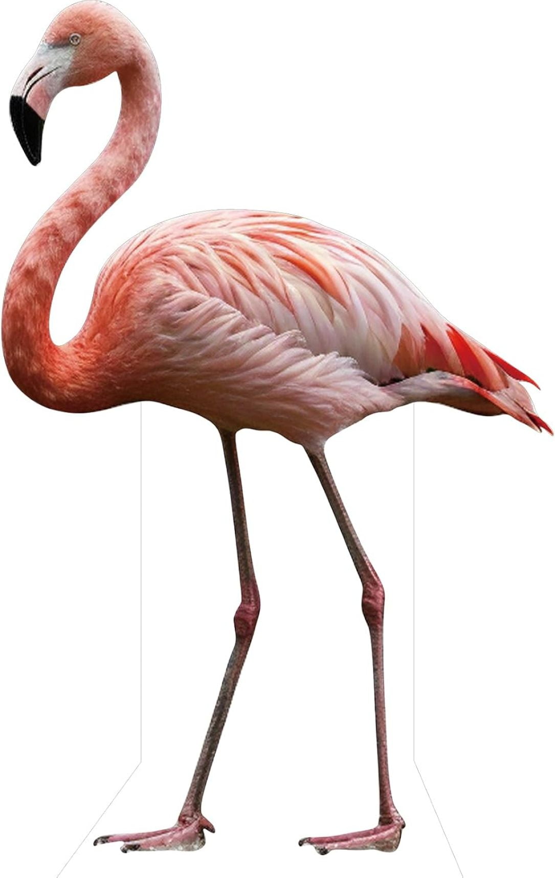 Flamingo 5FT Life Size Cardboard Cutout, Safari Theme Decoration ...