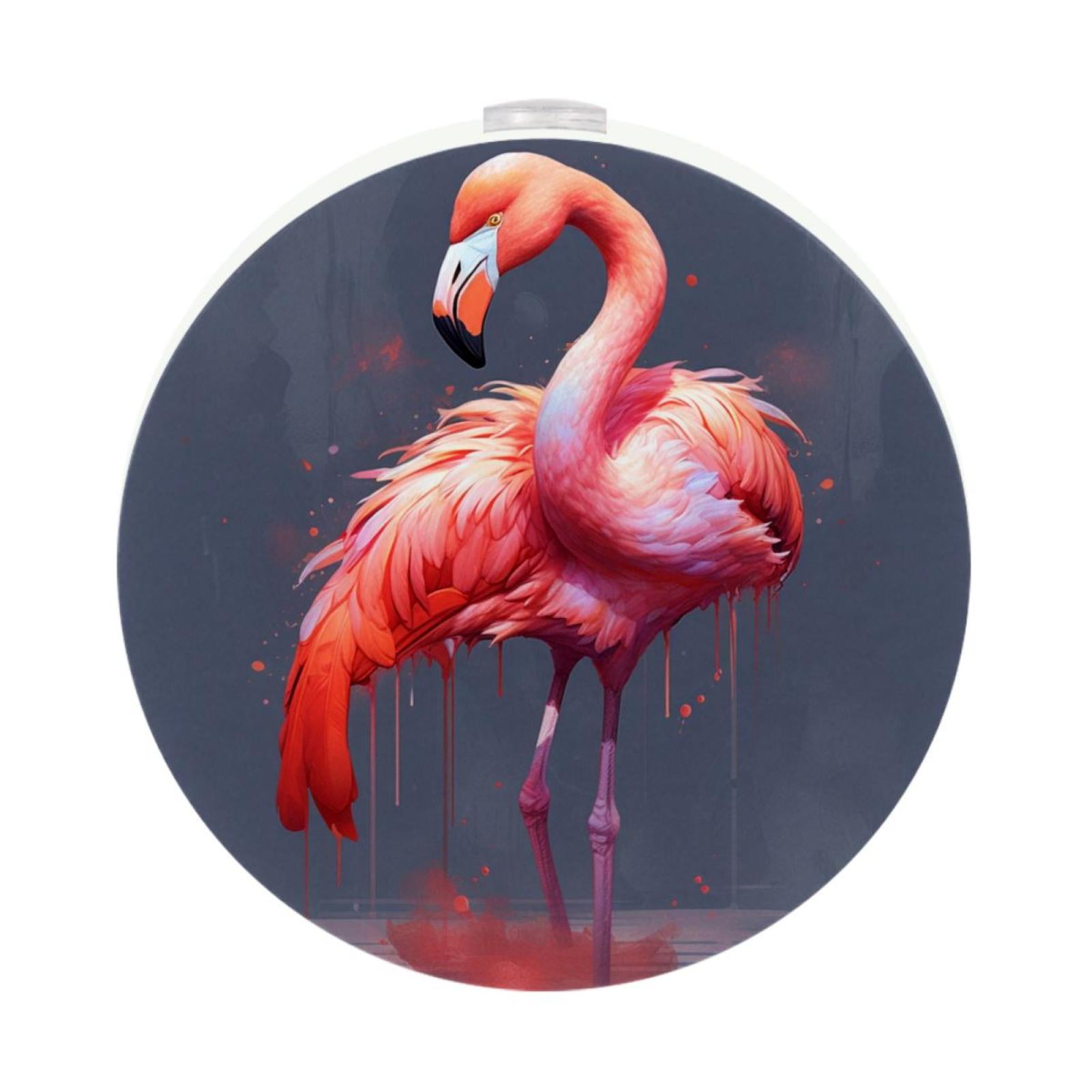 Flamingo Circle Night Light - 2 Pack, LED Chip, Induction Light Control ...