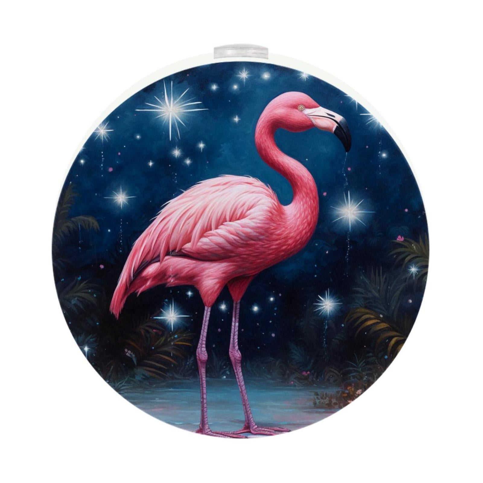 Flamingo Circular Night Lights - Two Pack for Room Lights, Wall Light ...