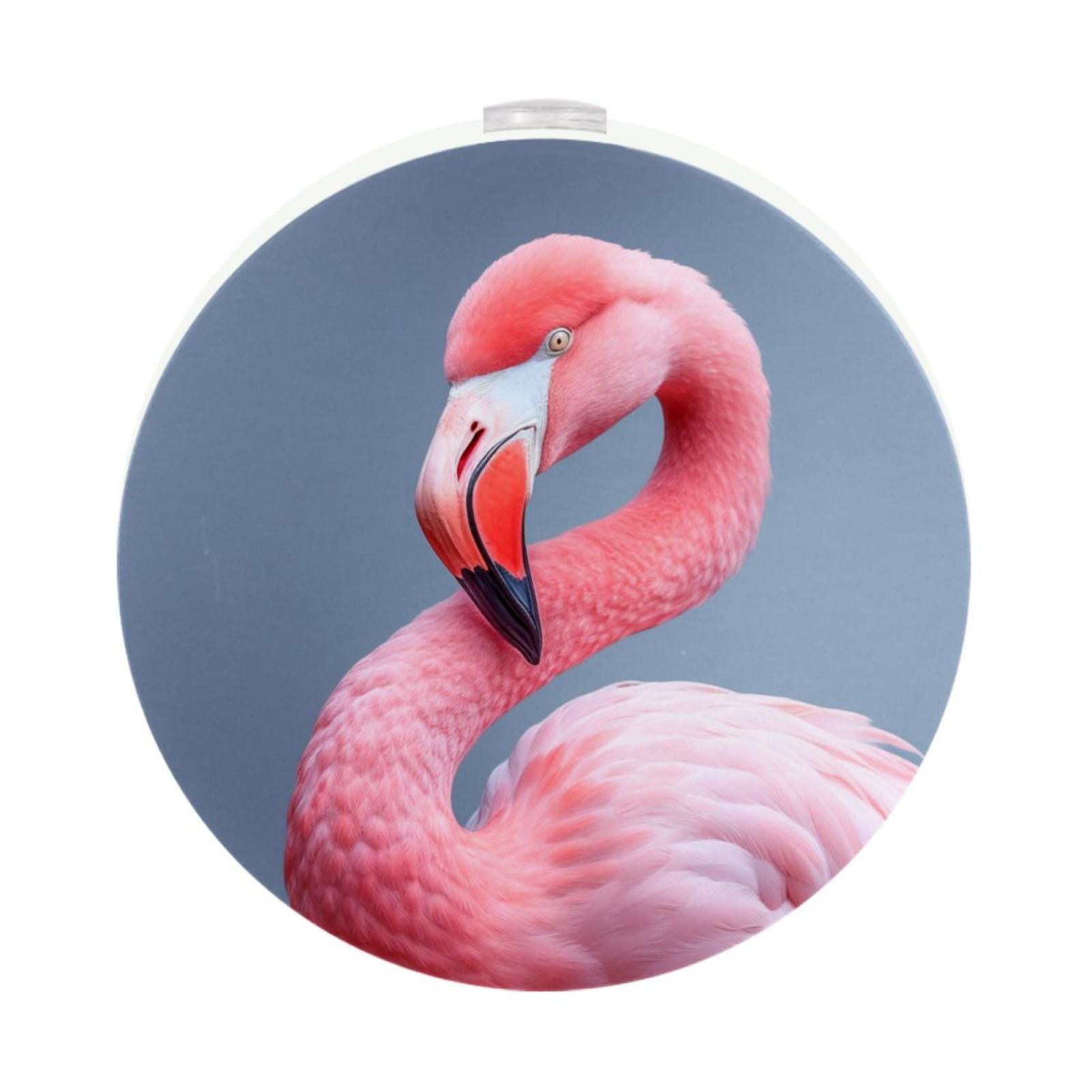 Flamingo Circular Wall Night Light - Set of 2, LED Induction Control ...