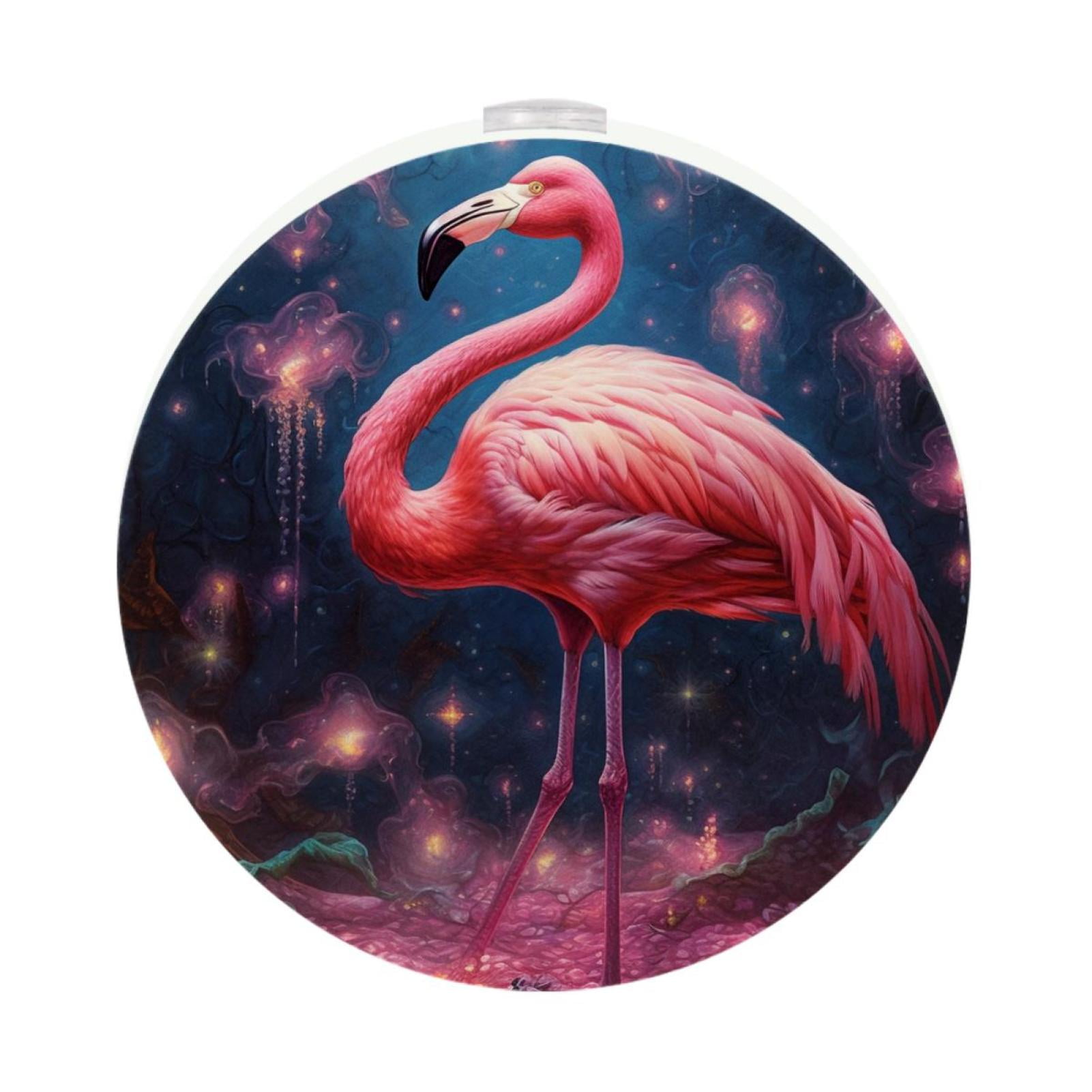 Flamingo Circular Wall Night Lights - Set of 2 LED Induction Light ...
