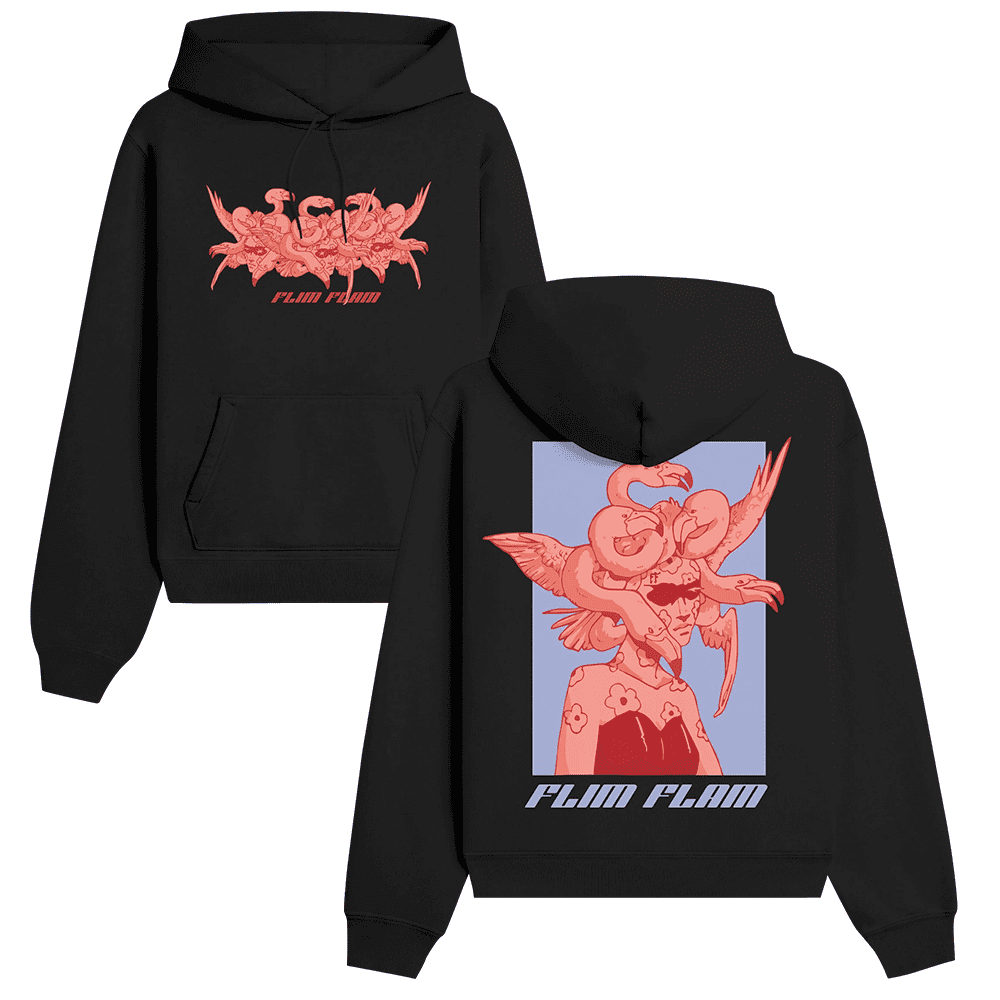 Kids Cartoon Graphic Hoodie Boys Flamingo Flim Flam Graphic Hoodie ...