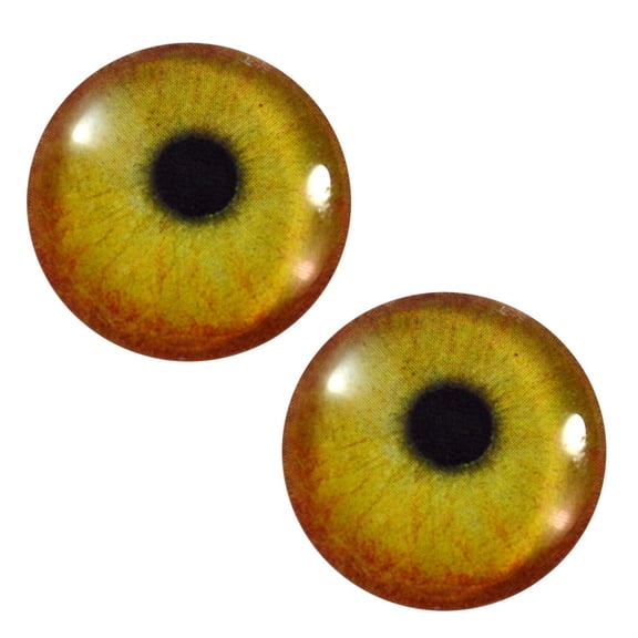 Duck Decoy Glass Eyes - Walmart.com