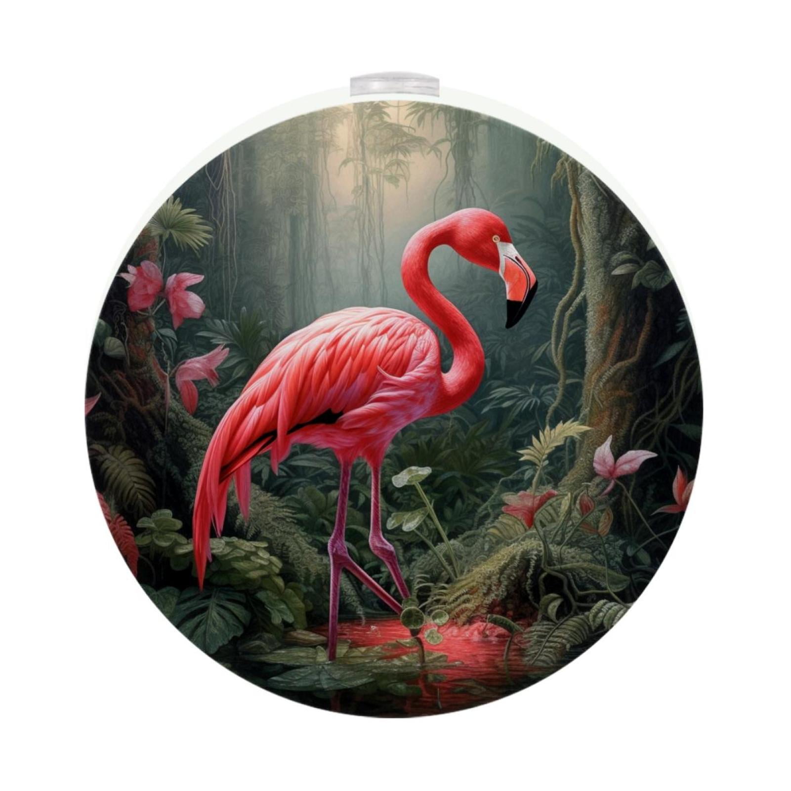 Flamingo Induction Controlled Circular Night Lights - Set of 2, LED ...