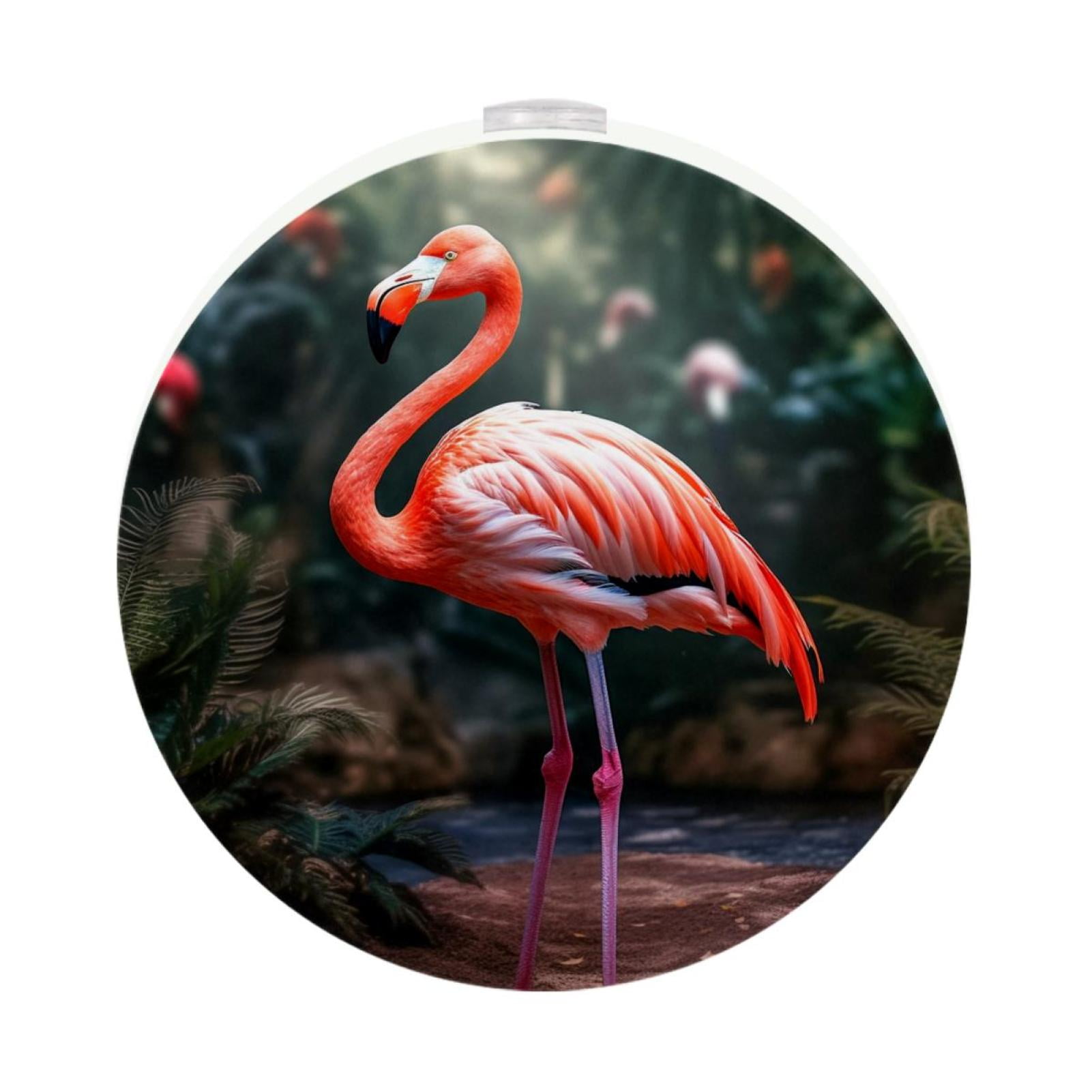 Flamingo LED Night Lights - Wall Light, Small LED Light Set for Room ...