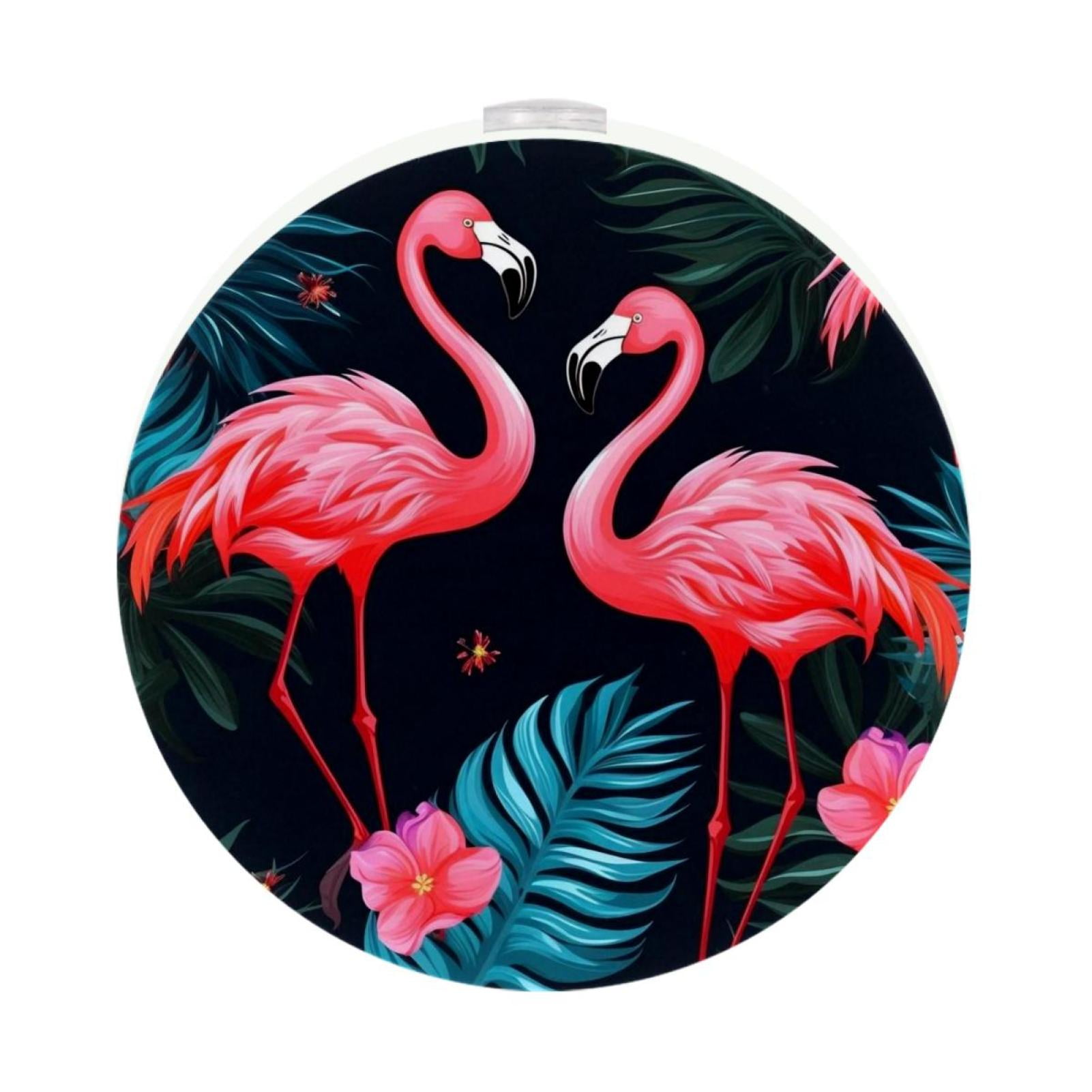 Flamingo LED Round Night Light-2PCS, Dimmable Plug-in Wall Lamp with ...