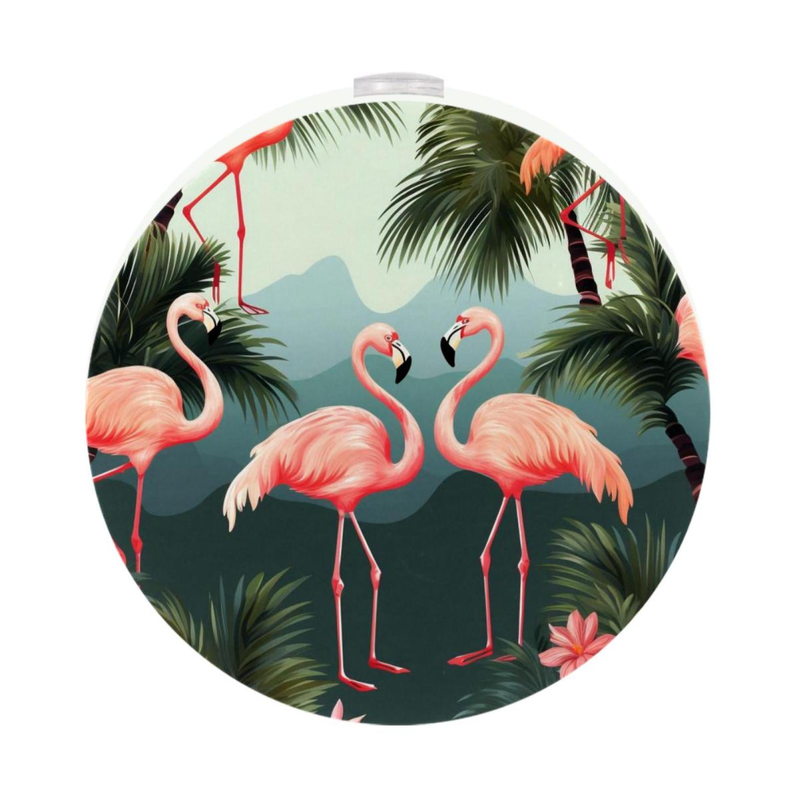 Flamingo LED Round Night Light-2PCS, Energy Efficient Plug-in Bedroom ...