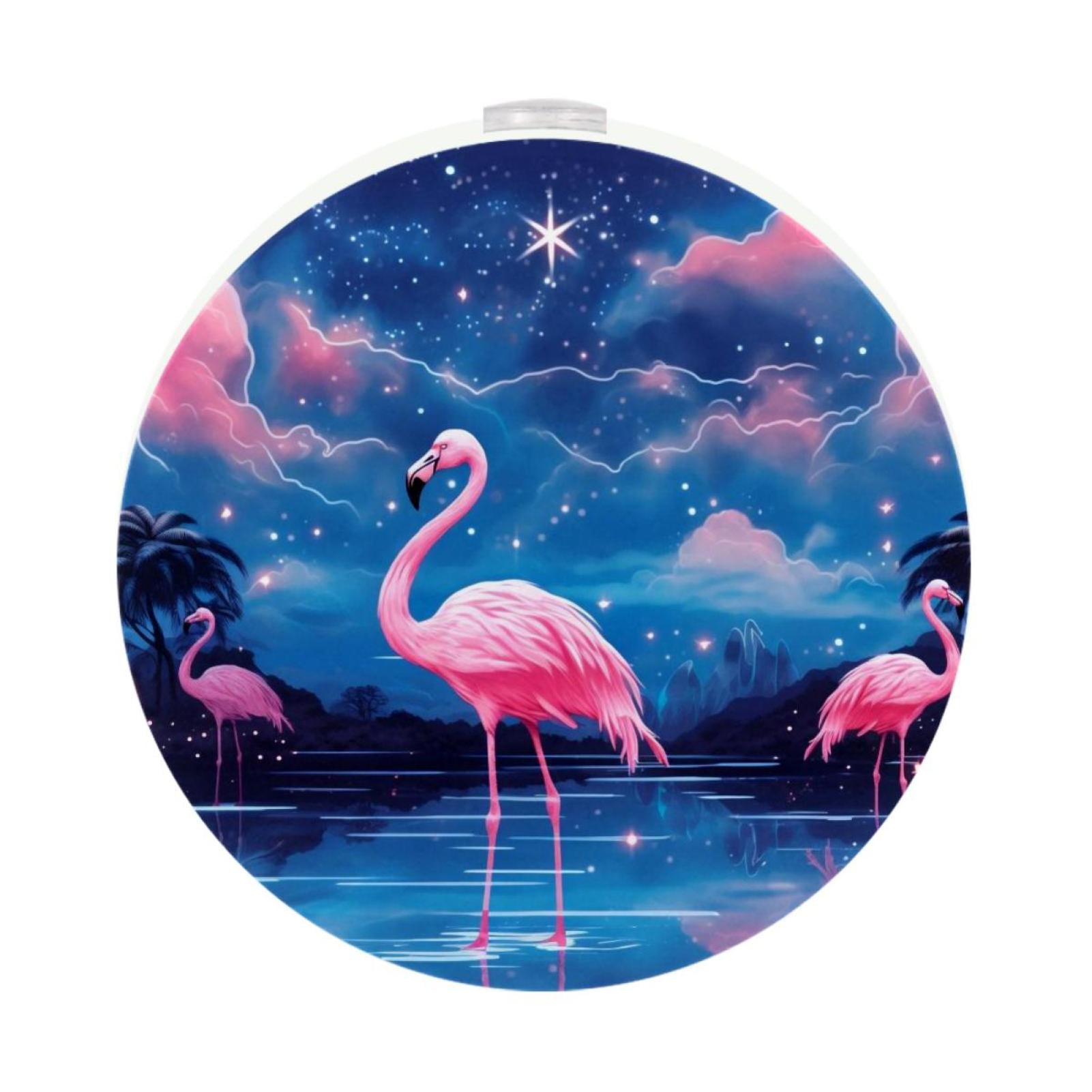 Flamingo LED Round Night Light-2PCS, Energy Efficient Plug-in Bedroom ...