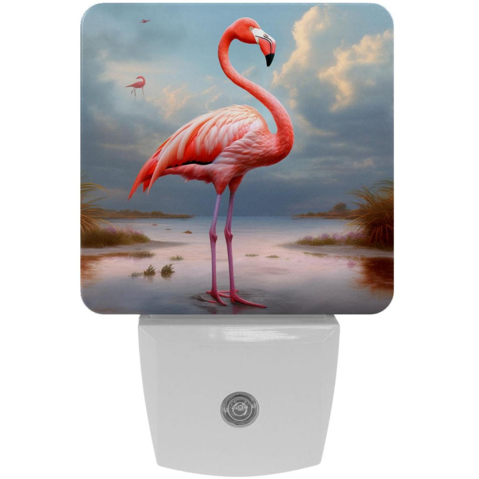 Flamingo LED Square Night Lights - Compact and Multifunctional ...