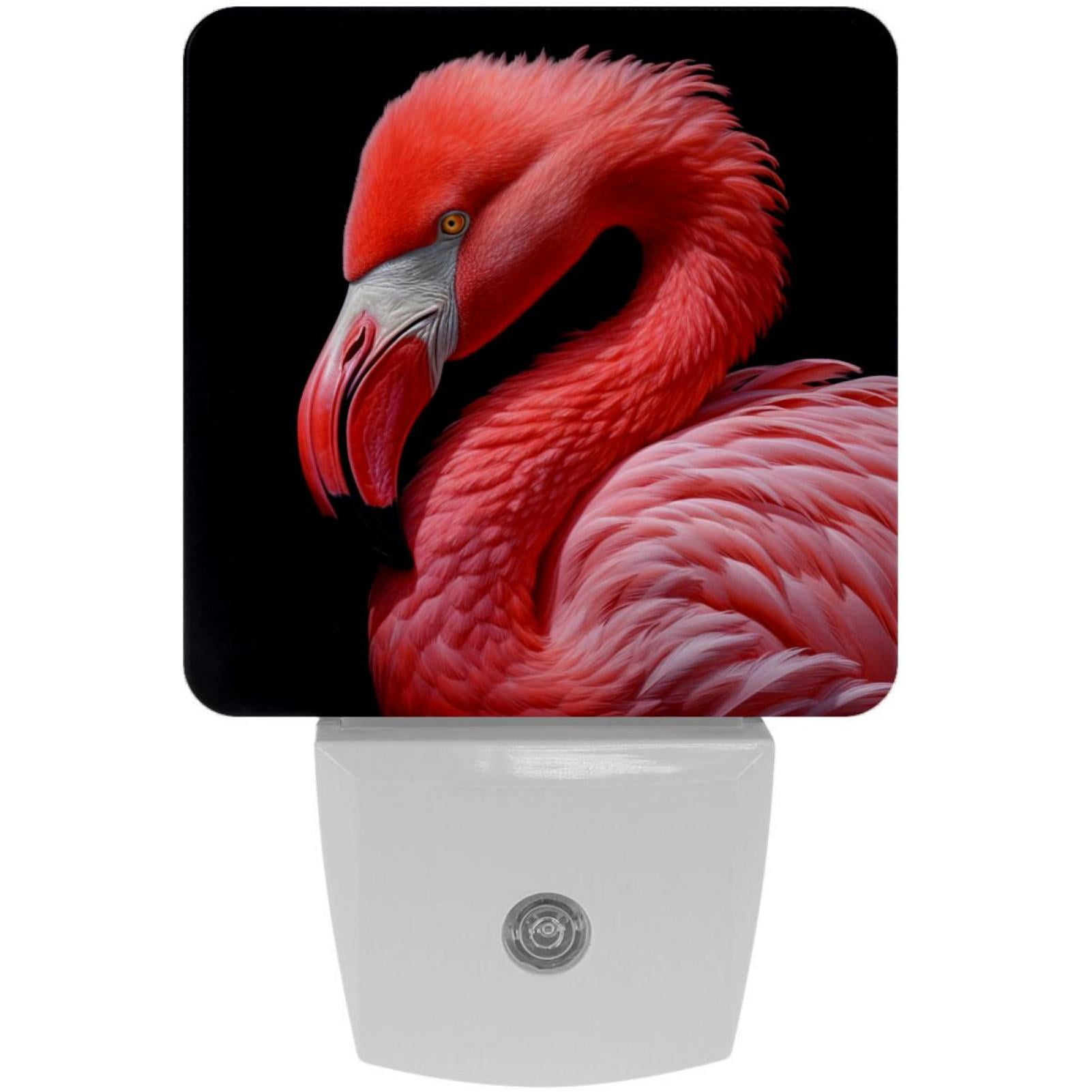 Flamingo LED Square Night Lights - Elegant and Energy Efficient ...