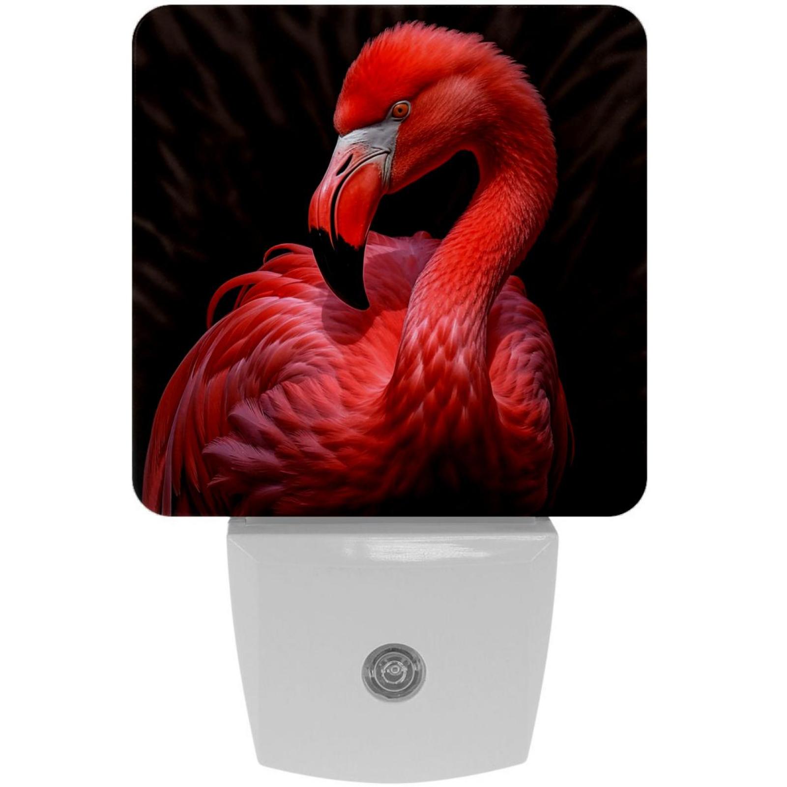 Flamingo LED Square Night Lights - Small and Bright Illumination for ...