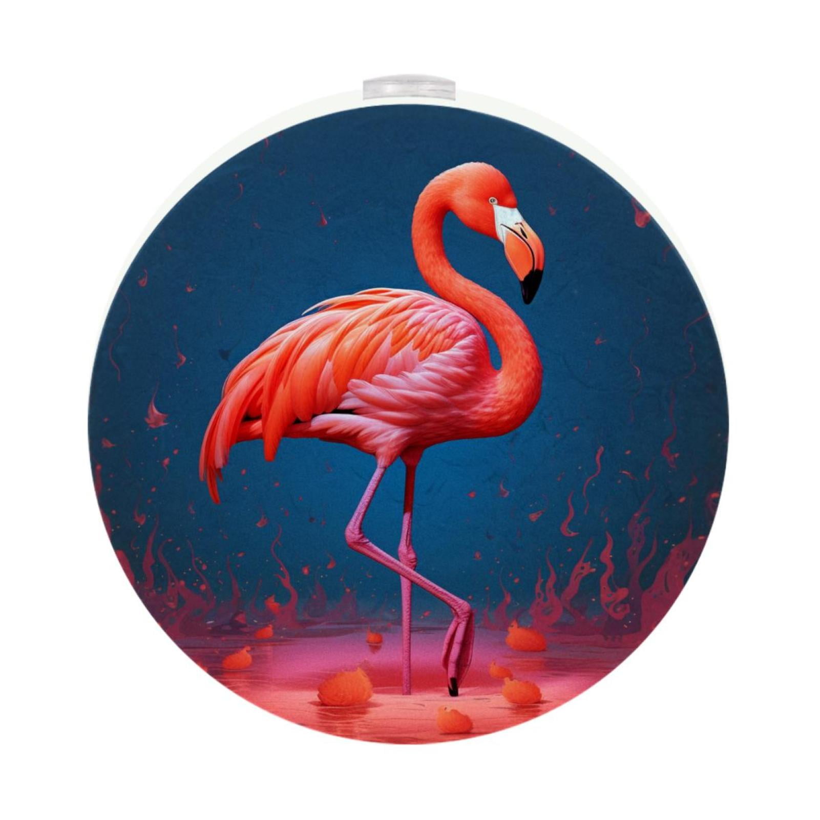 Flamingo LED Wall Night Light Set - Pack of 2, Inductive Light Control ...
