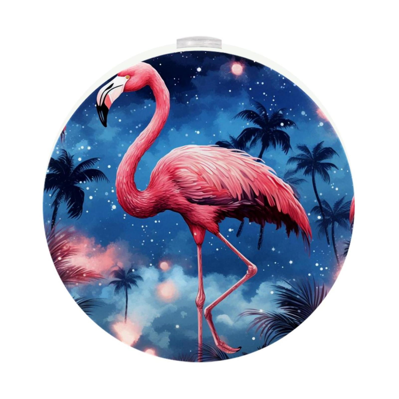 Flamingo Led Round Night Light-2pcs, Dimmable Plug-in Mini Wall Lamp ...