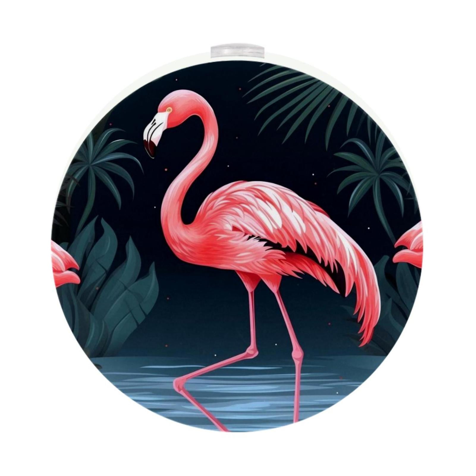Flamingo Led Round Night Light-2pcs Set, Battery Powered Mini Portable ...
