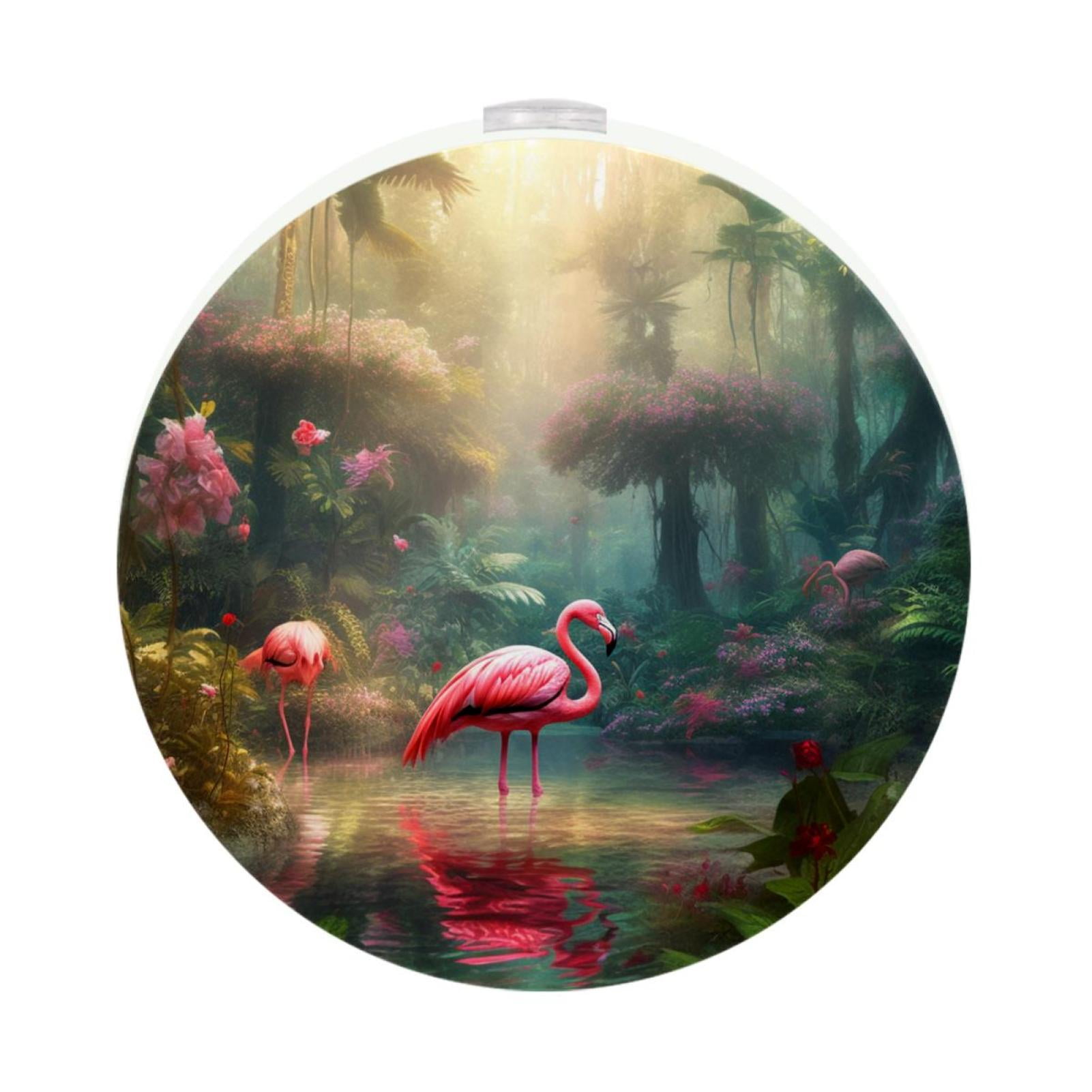 Flamingo Modern Circular Night Lights - Set of 2, LED Induction Control ...