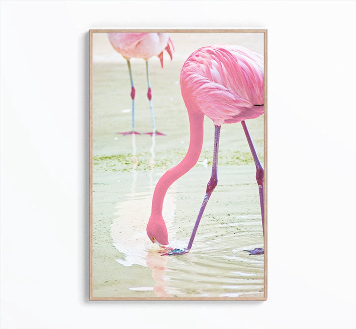 Flamingo Print, Flamingo Nursery Wall Art, Flamingo Nursery Decor ...