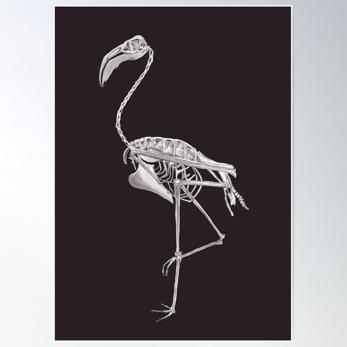 Flamingo Skeleton: Bird Halloween Animal Anatomy Poster Wall Art ...