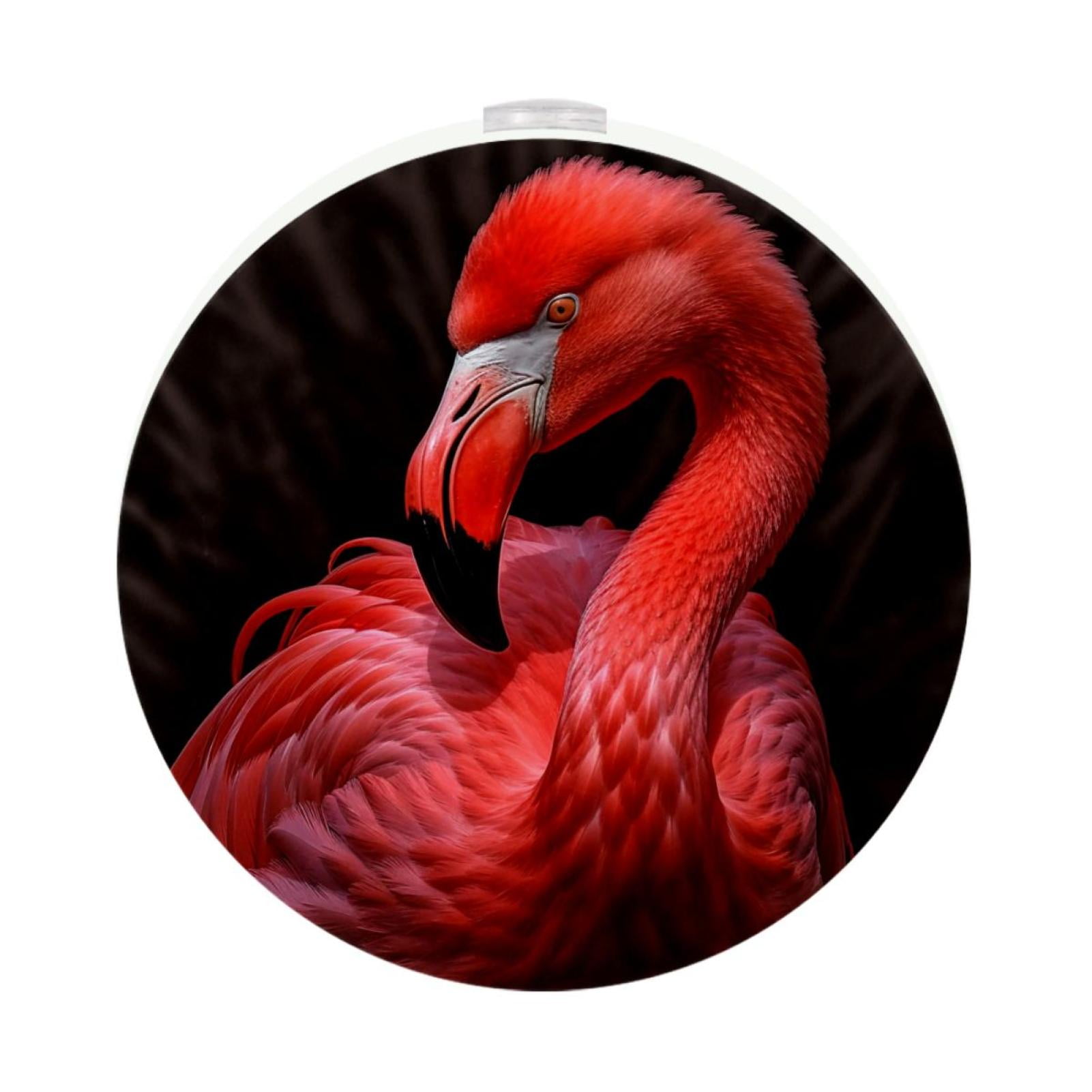 Flamingo Small LED Night Light - 2 Pack, Induction Light Control, Chip ...