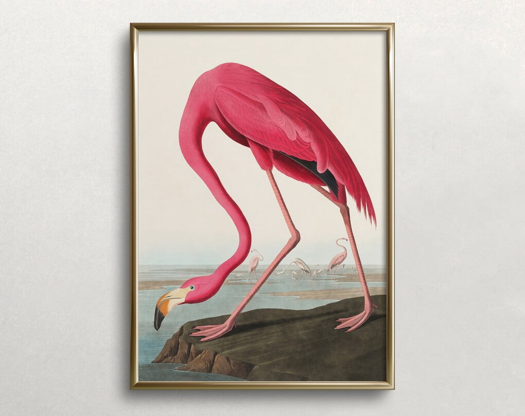 Flamingo Wall Art Vintage Wall Art Audubon Wall Art Pink Flamingo Print ...