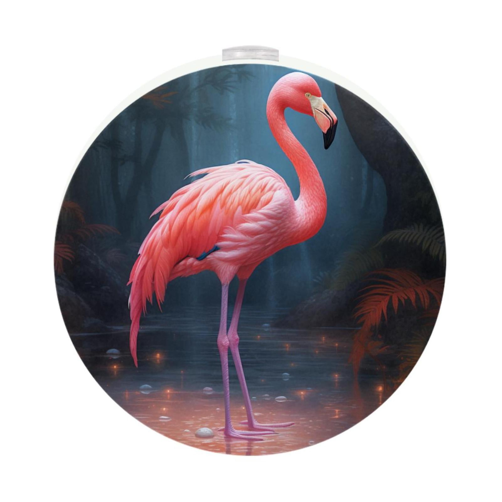 Flamingo Wall Light Night Lights - LED Small Night Light - Walmart.com