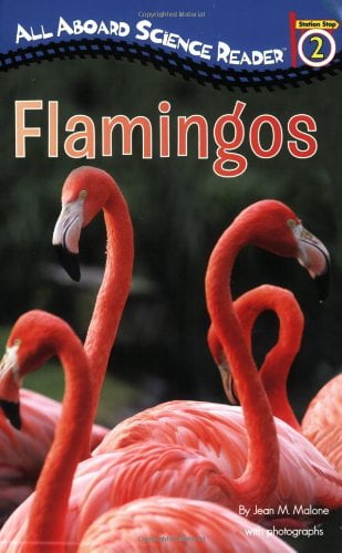 Pre-Owned Flamingos (Paperback) 0448452065 9780448452067 - Walmart ...