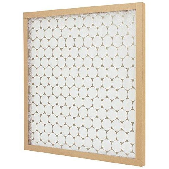 Flanders PrecisionAire E-Z Flow Air Filter - MERV 4 - 12 Pack, 20 x 20 ...