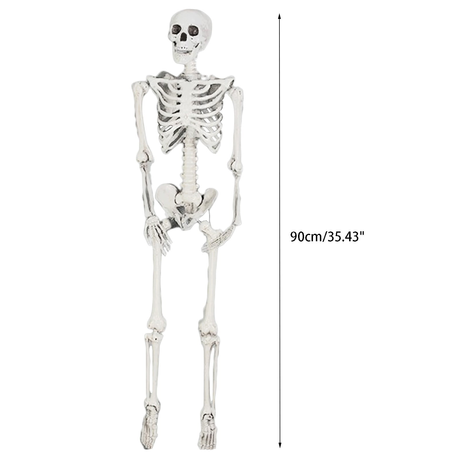 Flash Deals Halloween Skeleton Prop Deco Halloween Skeleton Life Size ...