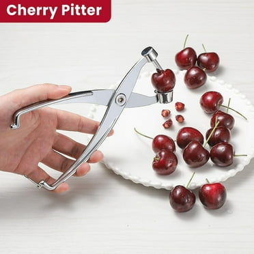 5120 Deluxe Cherry Pitter - Walmart.com
