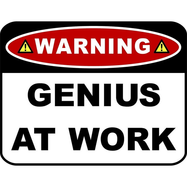 Flashing Blinking Red LED Laminated Funny Sign Warning Genius at Work ...