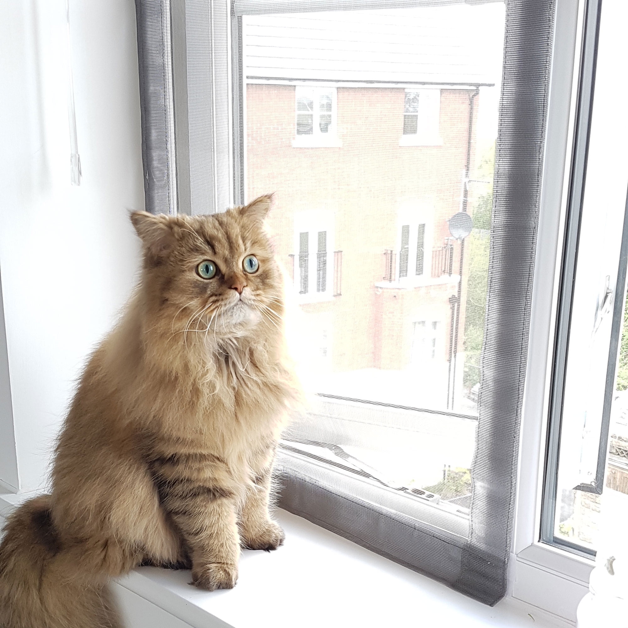 Flat Cats Window protection for Cats White Mesh White Fixings Pack of ...