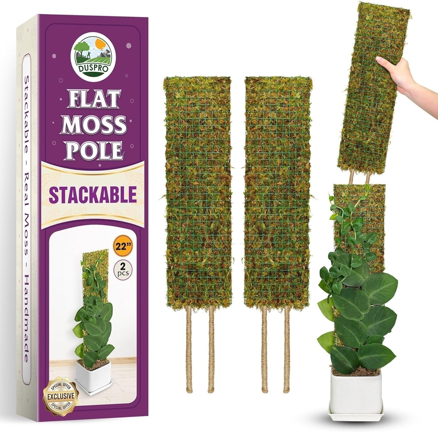 Flat Mesh Moss Poles for Climbing Plants Monstera Stackable Moss Pole ...