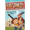 Flat Stanley's Worldwide Adventures #15: Lost in New York (Hardcover ...