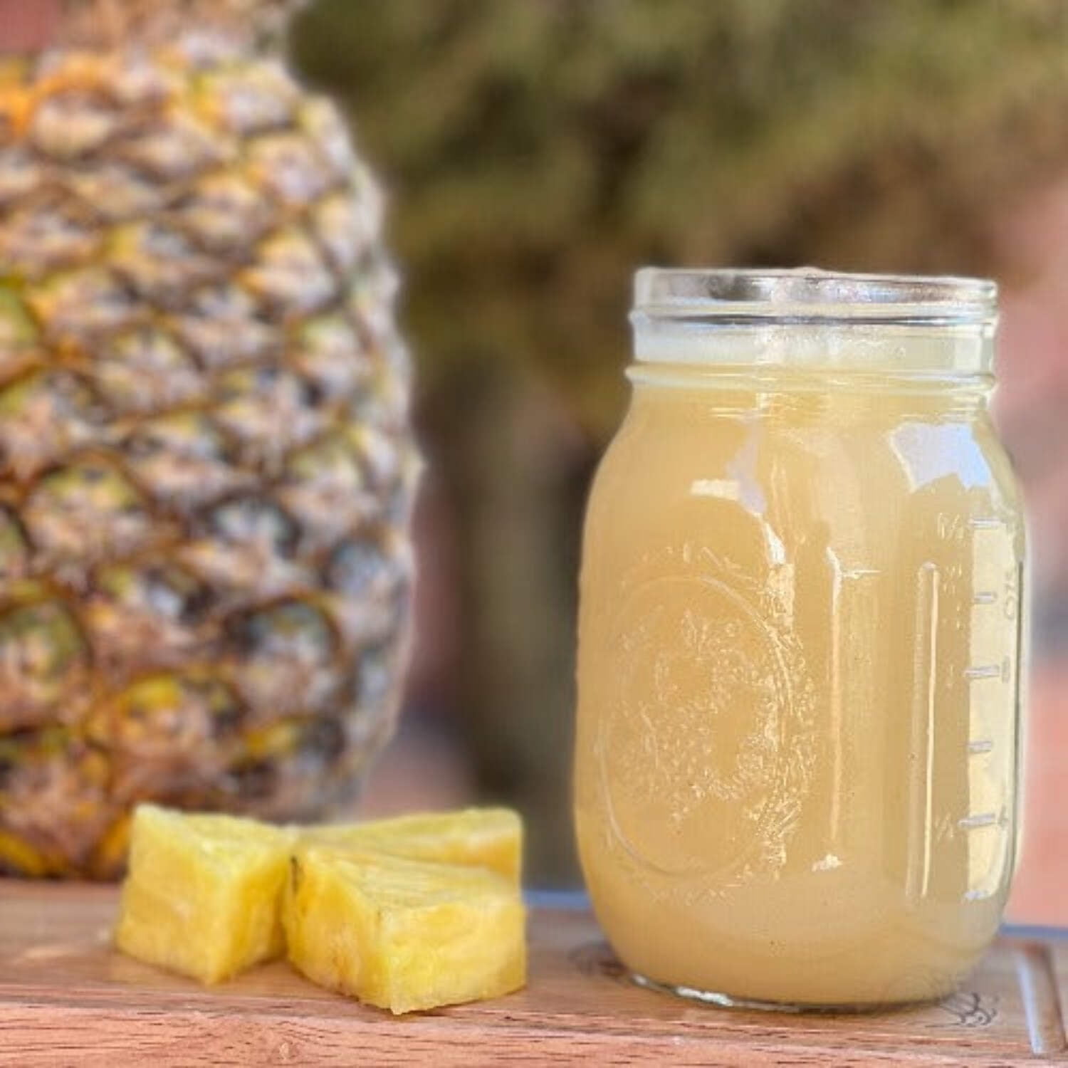 Flavored Sea Moss Gel- Alkaline Pineapple Sea Moss smoothie - Walmart.com