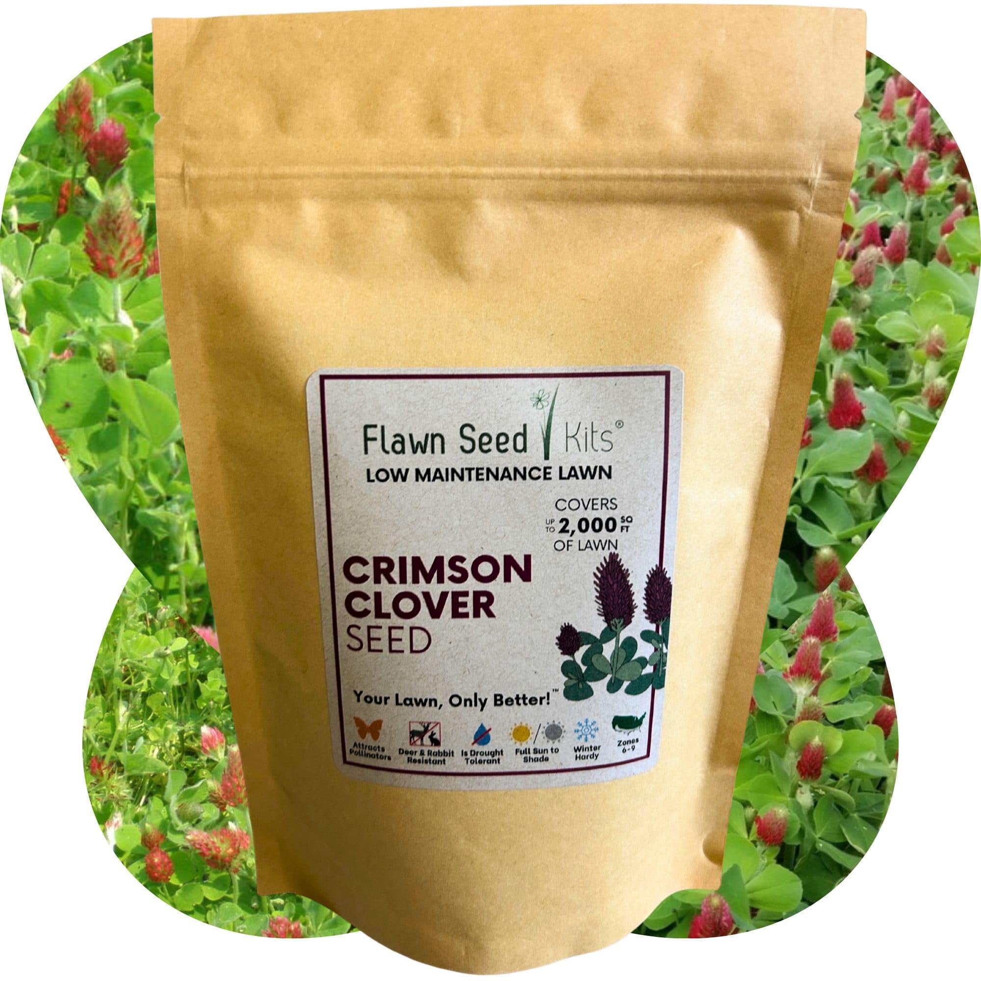 Flawn Seed Crimson Clover Seed, Pollinator SMRFriendly, Low Maintenance ...