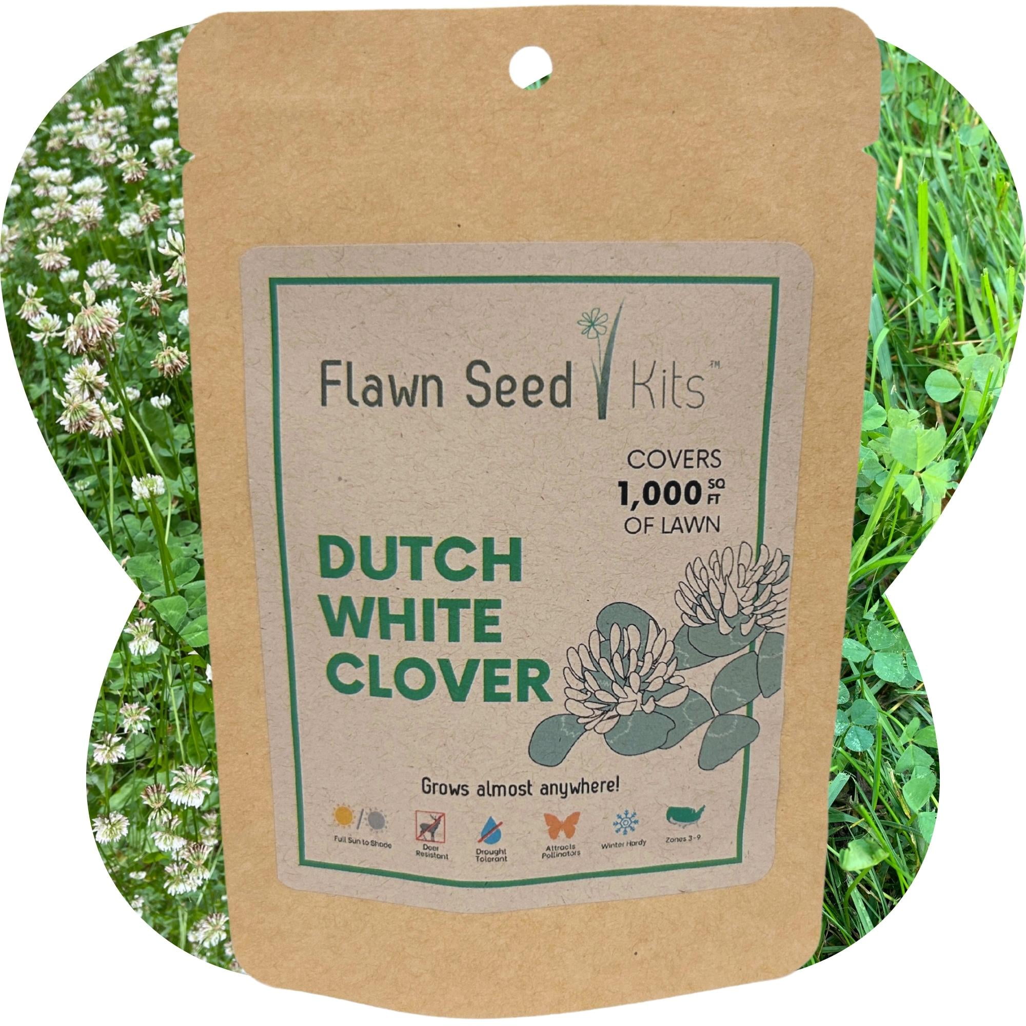 Flawn Seed Dutch White Clover Seed, Grass Alternative, Ground Cover ...