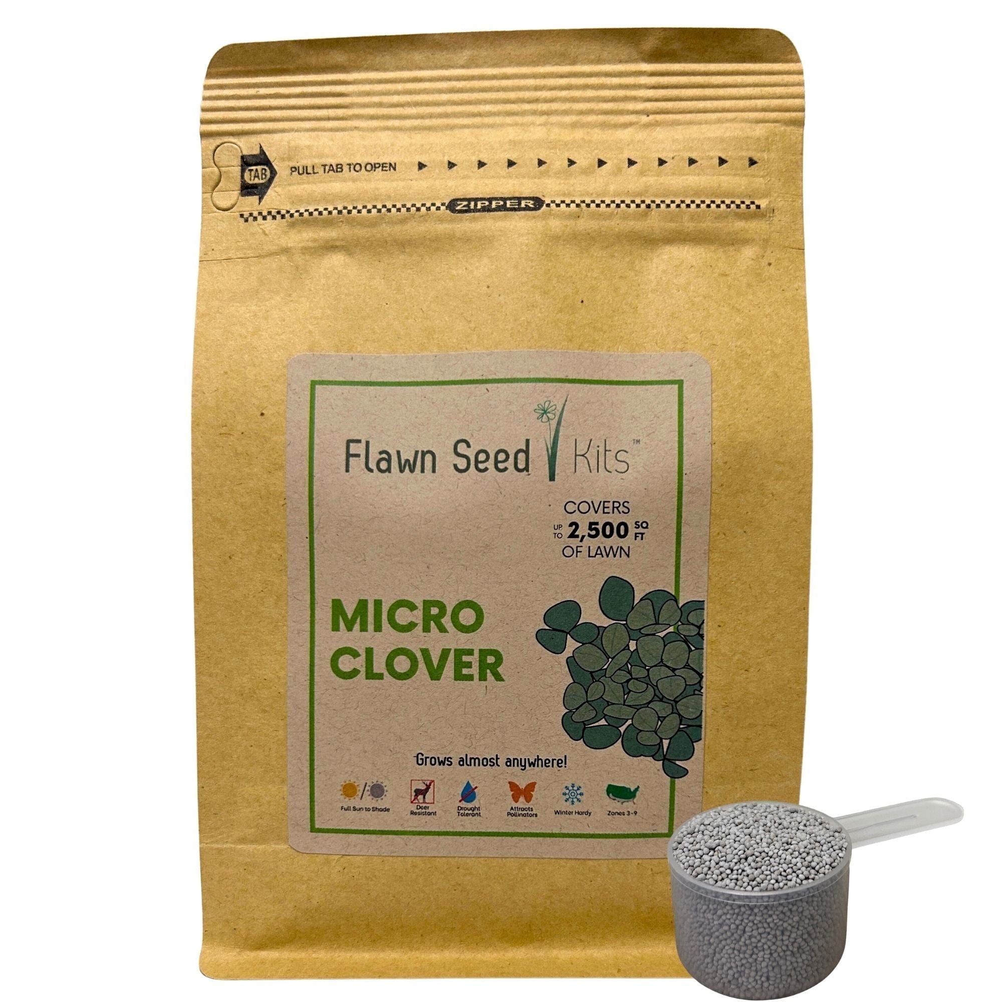 Flawn Micro Clover Seed Kit, Eco-Friendly, Low Maintenance, Full Sun ...
