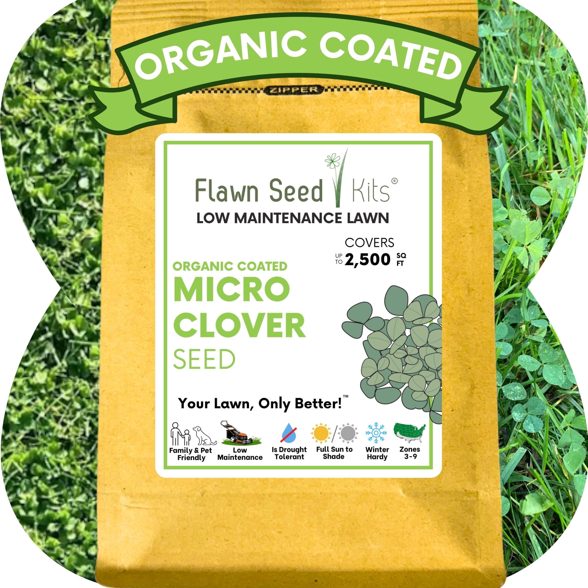 Flawn Micro Clover Seed Kit, Eco-Friendly, Low Maintenance, Full Sun ...